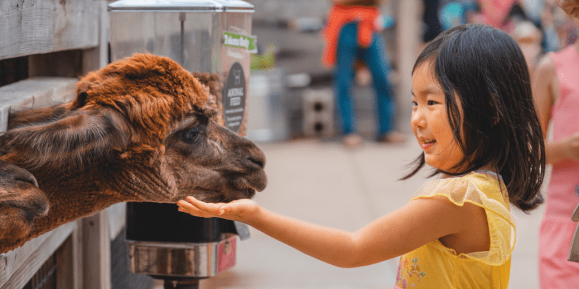 Toledo Zoo And Aquarium - Toledo, OH