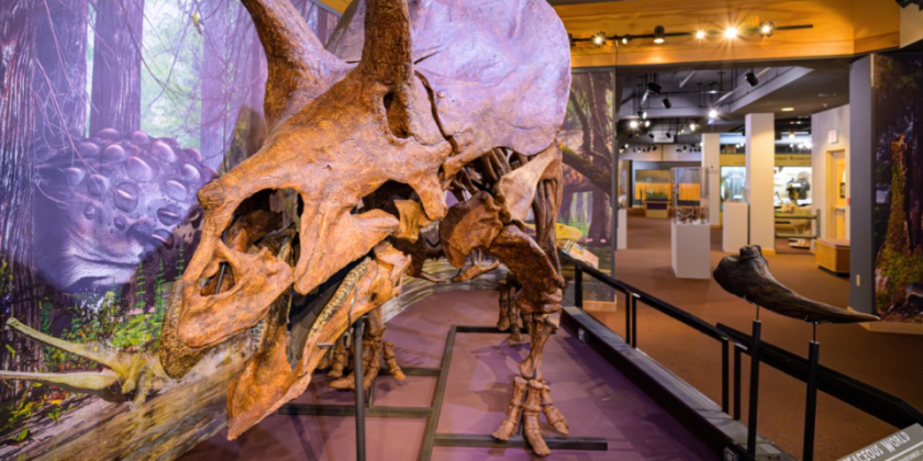 Wyoming State Museum - Cheyenne, WY | I-80 Exit Guide